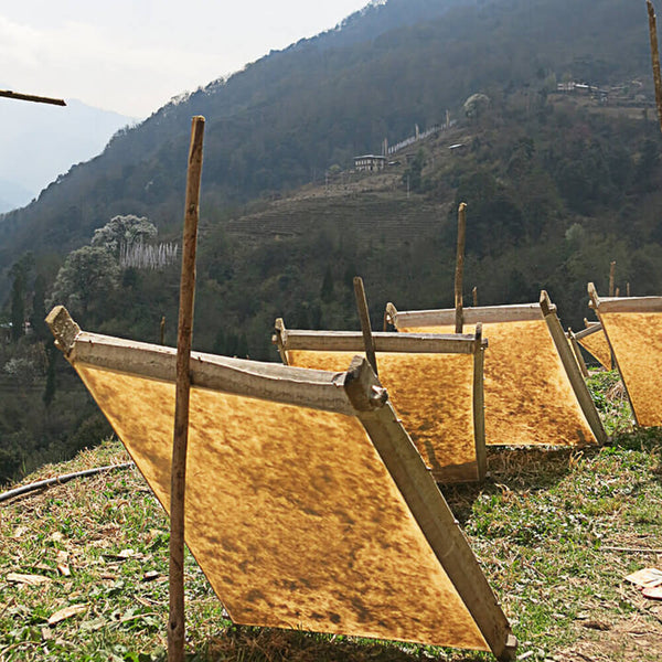 Khadi Handmade Bhutanese Resho Paper (60x80cm) Single Sheets – Details ...